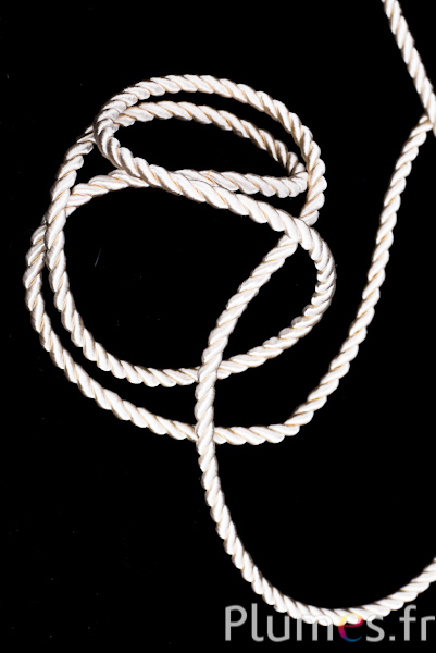 Vogelveren Accessoires - Plumes.fr