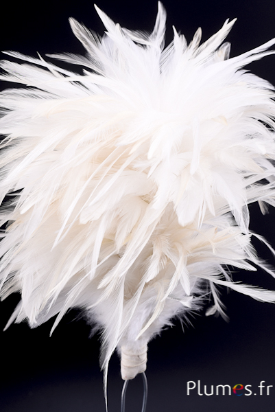 Vogelveren Pluimen - Plumes.fr